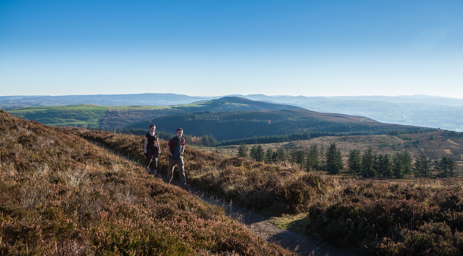 Natural Resources Wales / Coed Moel Famau Forest, near Mold