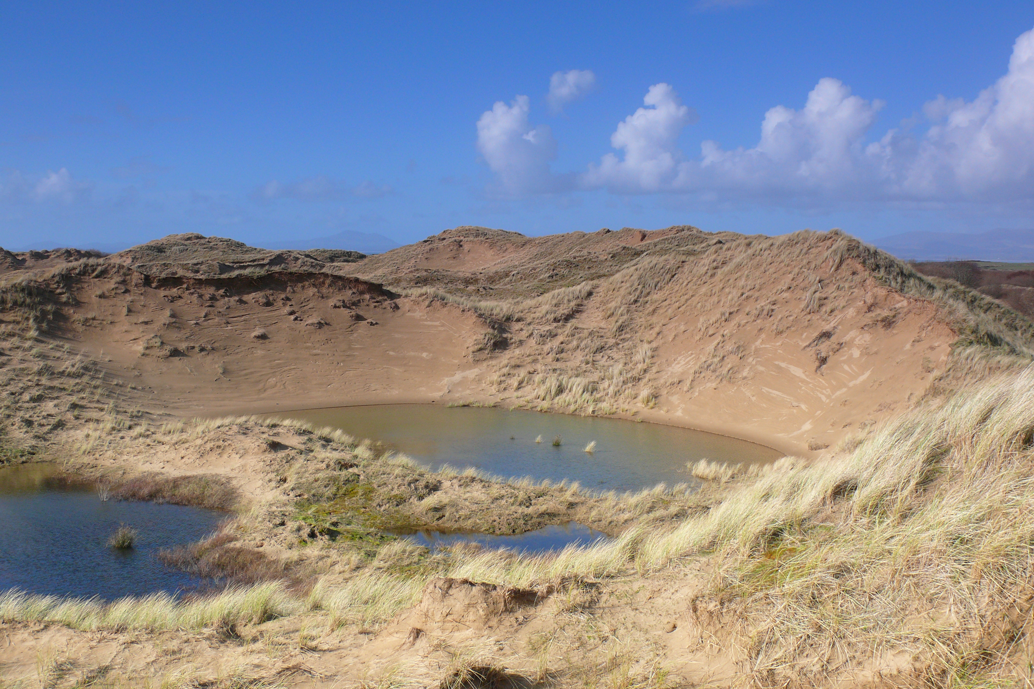 Natural Resources Wales / Morfa Dyffryn National Nature Reserve, near ...