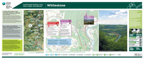 Natural Resources Wales / Wye Valley Woodlands - Whitestone, near Chepstow