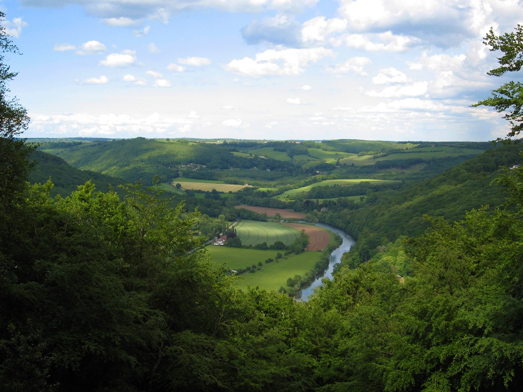 Natural Resources Wales / Wye Valley Woodlands - Whitestone, near Chepstow