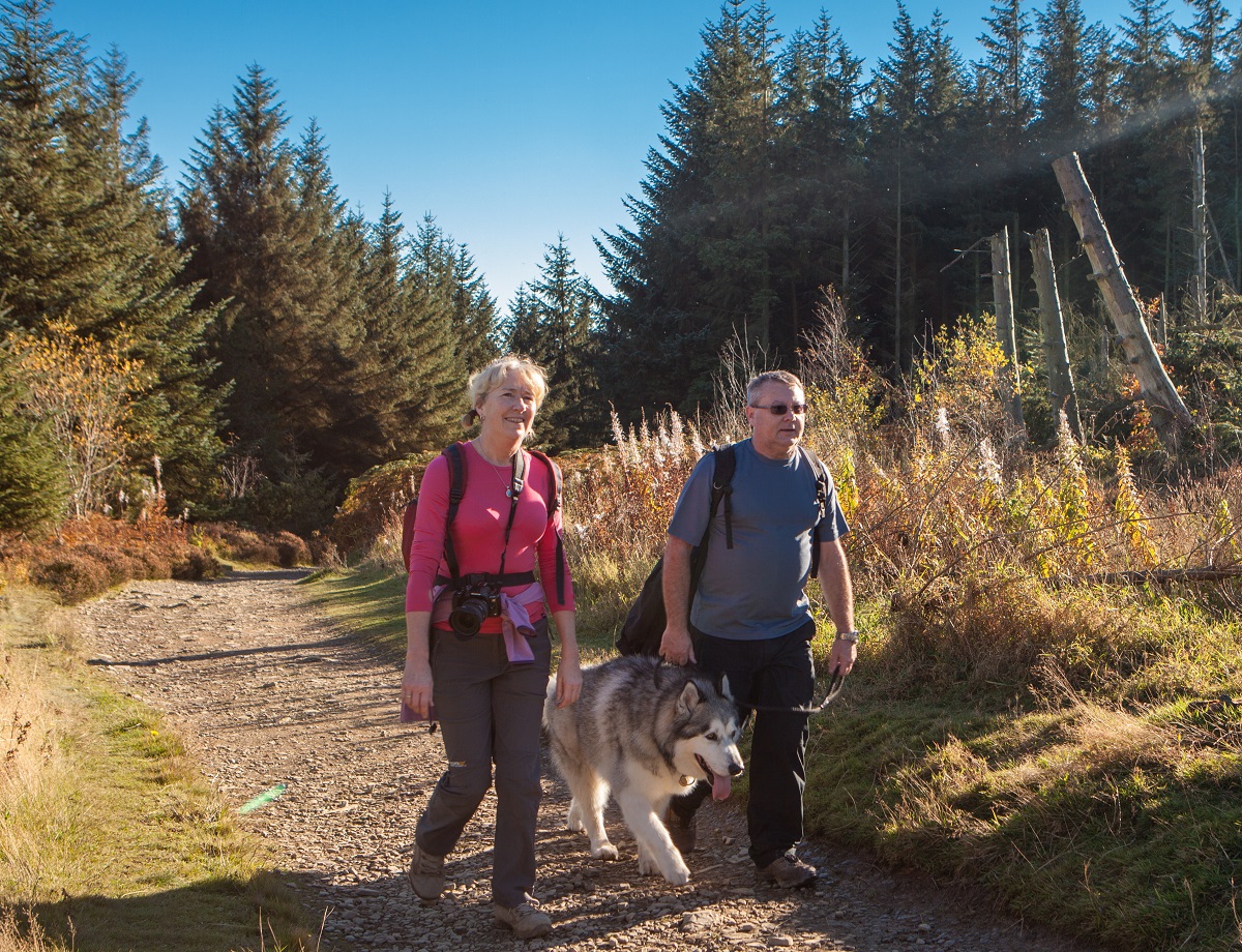 Natural Resources Wales / Morfa Dyffryn National Nature Reserve, near ...