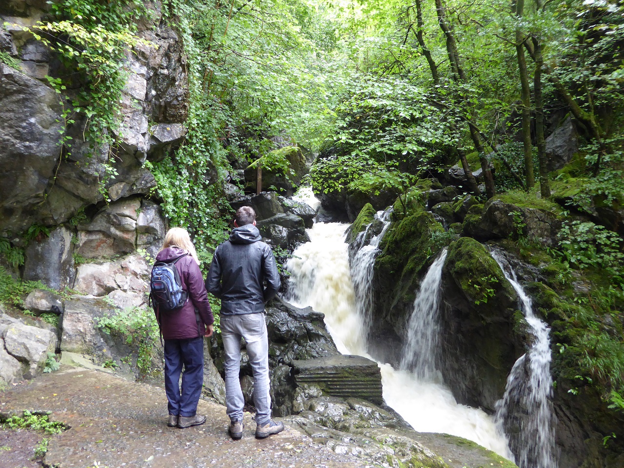 Natural Resources Wales / Waterfall Country Woodlands - Dinas Rock ...