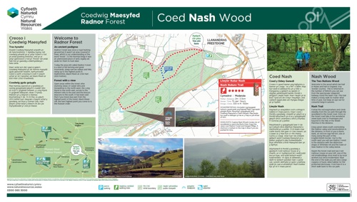 Natural Resources Wales / Radnor Forest - Nash Wood, near Presteigne