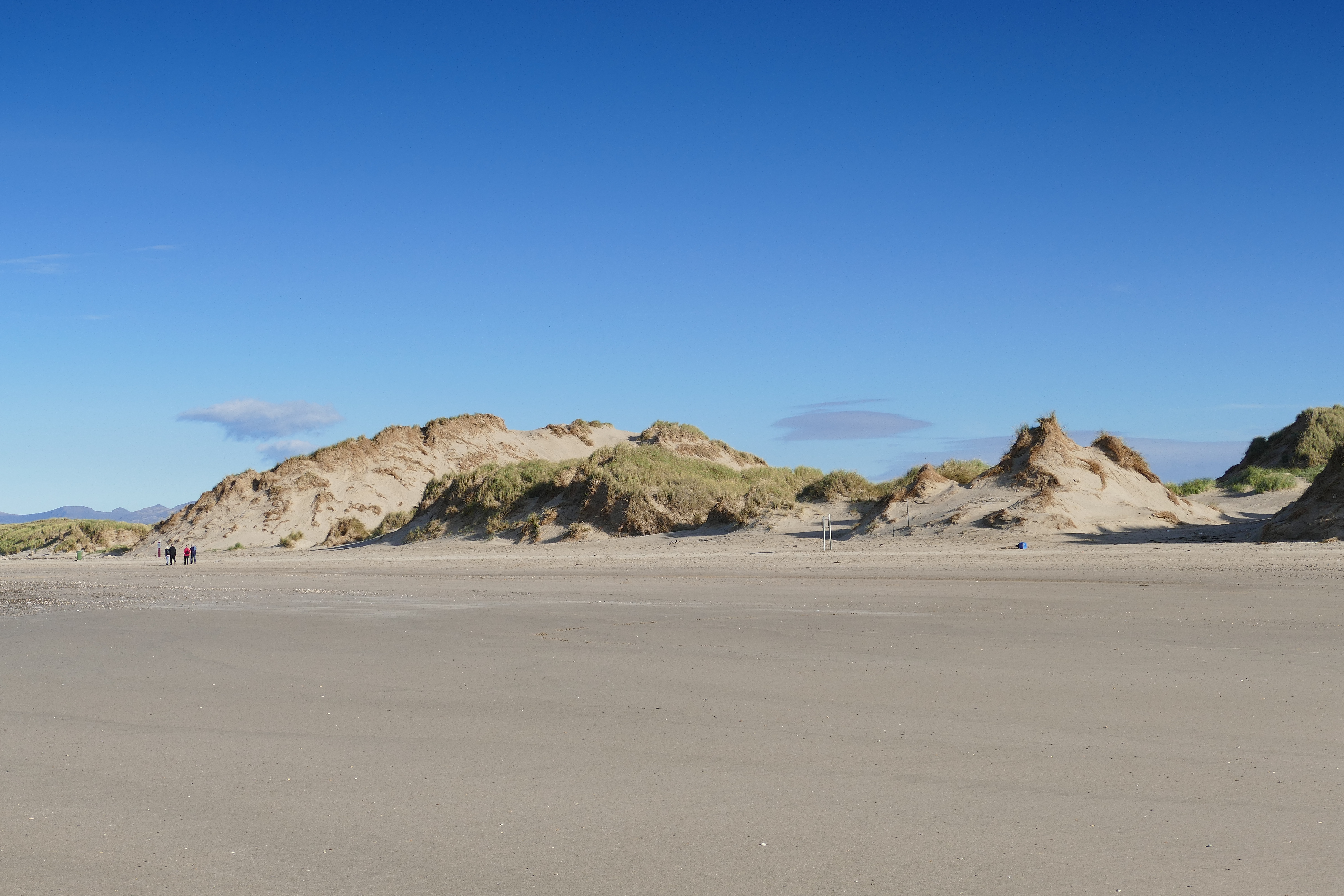 Natural Resources Wales / Morfa Dyffryn National Nature Reserve, near ...